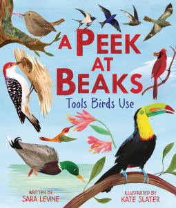 A Peek at Beaks – Novel Obsession